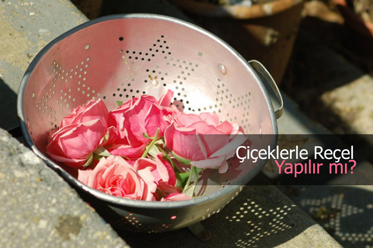 Çiçeklerden Reçel Yapılır Mı? Çiçekle Hazırlanabilecek Reçel Tarifleri ...